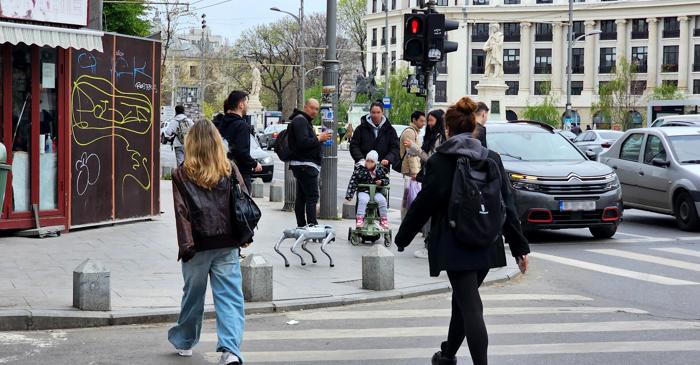 Viteza cu care mergi pe stradă îți arată vârsta creierului tău